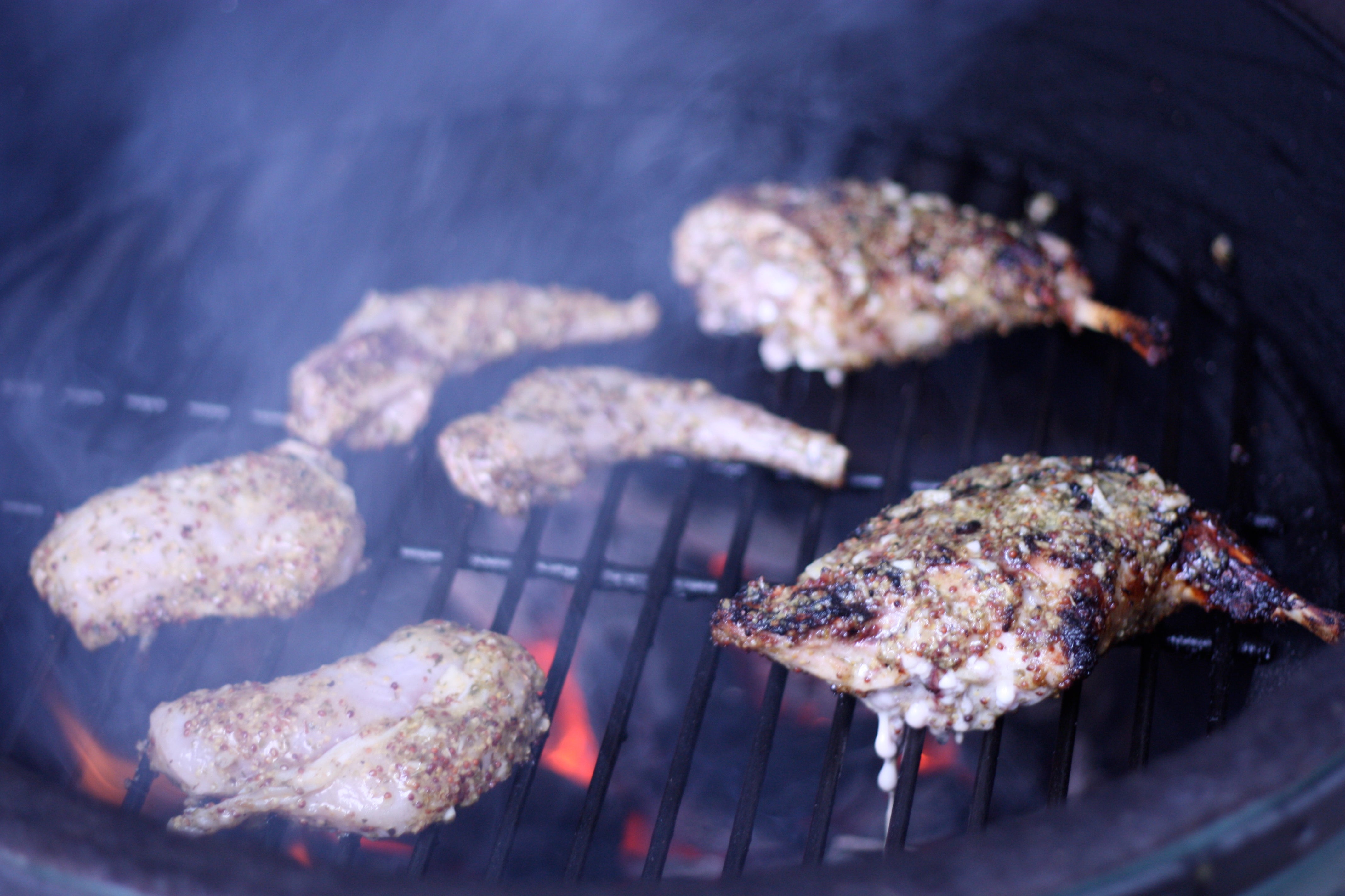 Rabbits: What We Bet You Didn't Know – Barbecues Galore