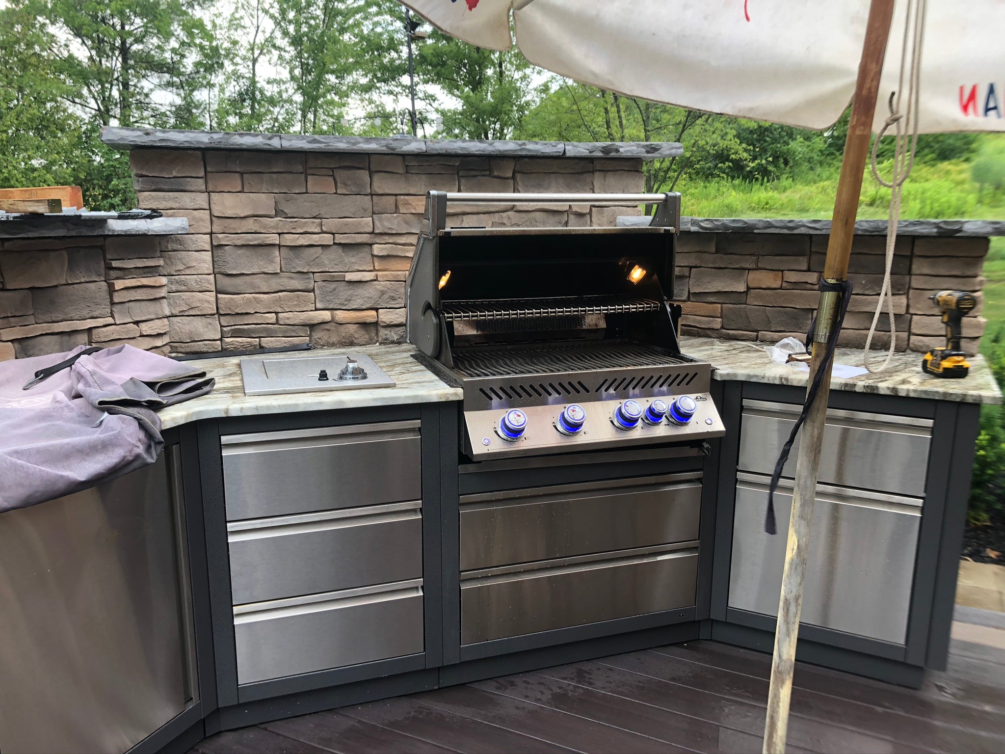 Built in Gril Head - Napoleon PRO – Barbecues Galore